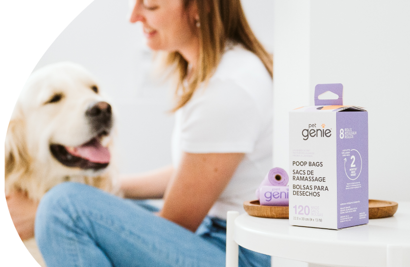 Home | Pet Genie