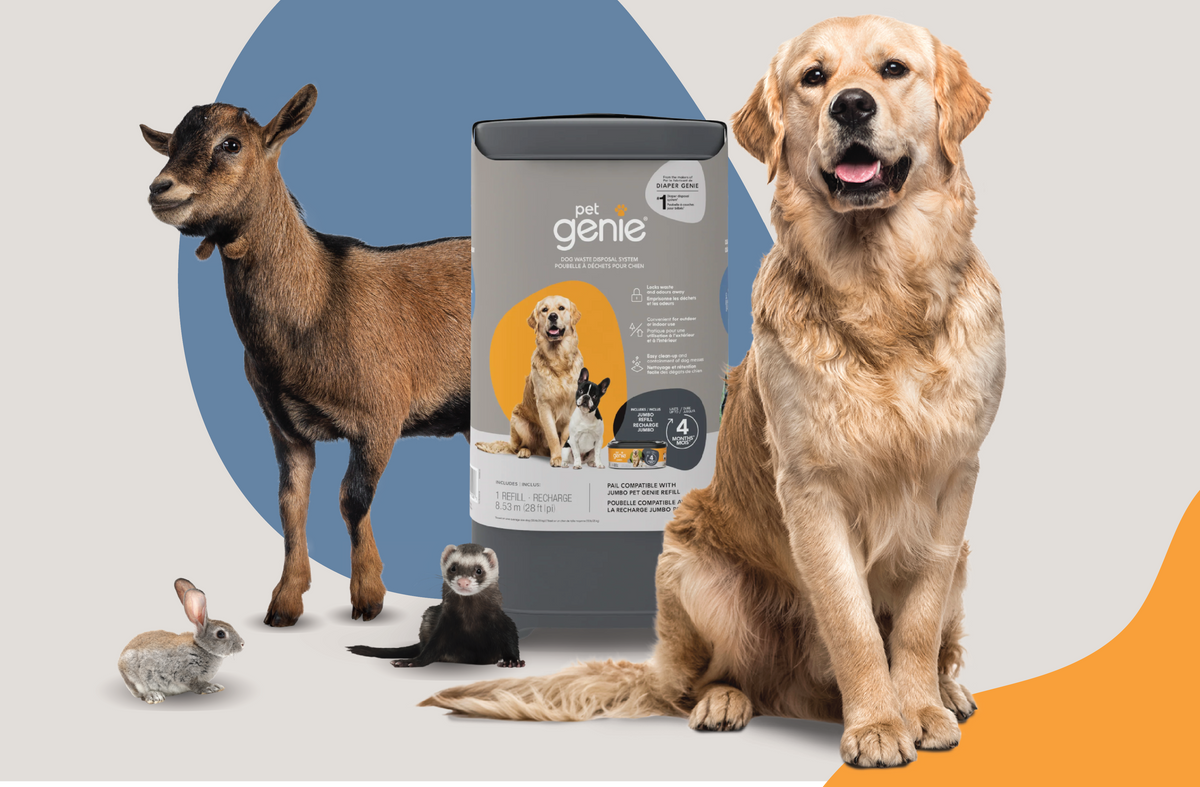 Home | Pet Genie
